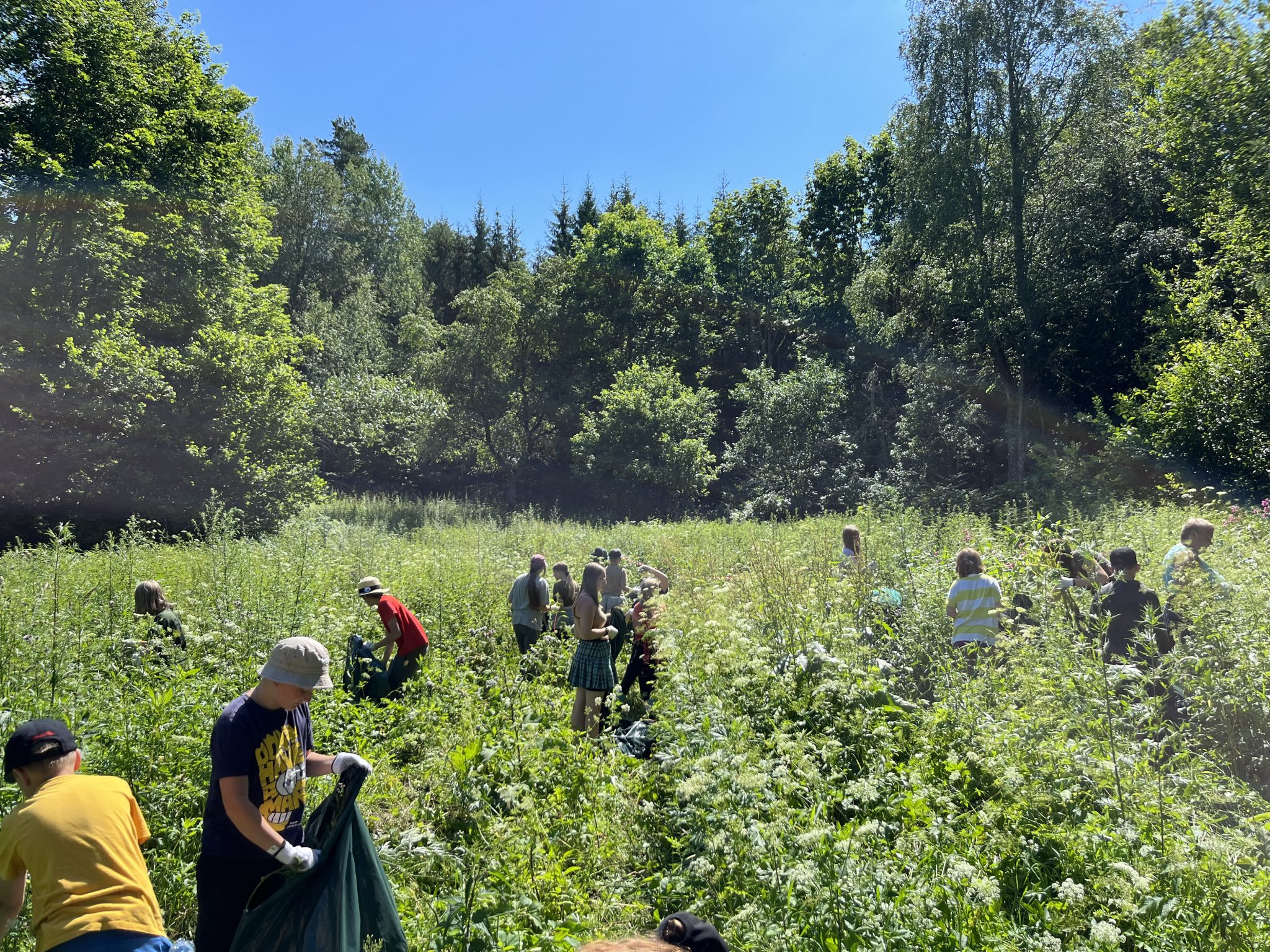 Vislatvijas jauno reindžeru talka Beitānu pilskanā - LatViaNature